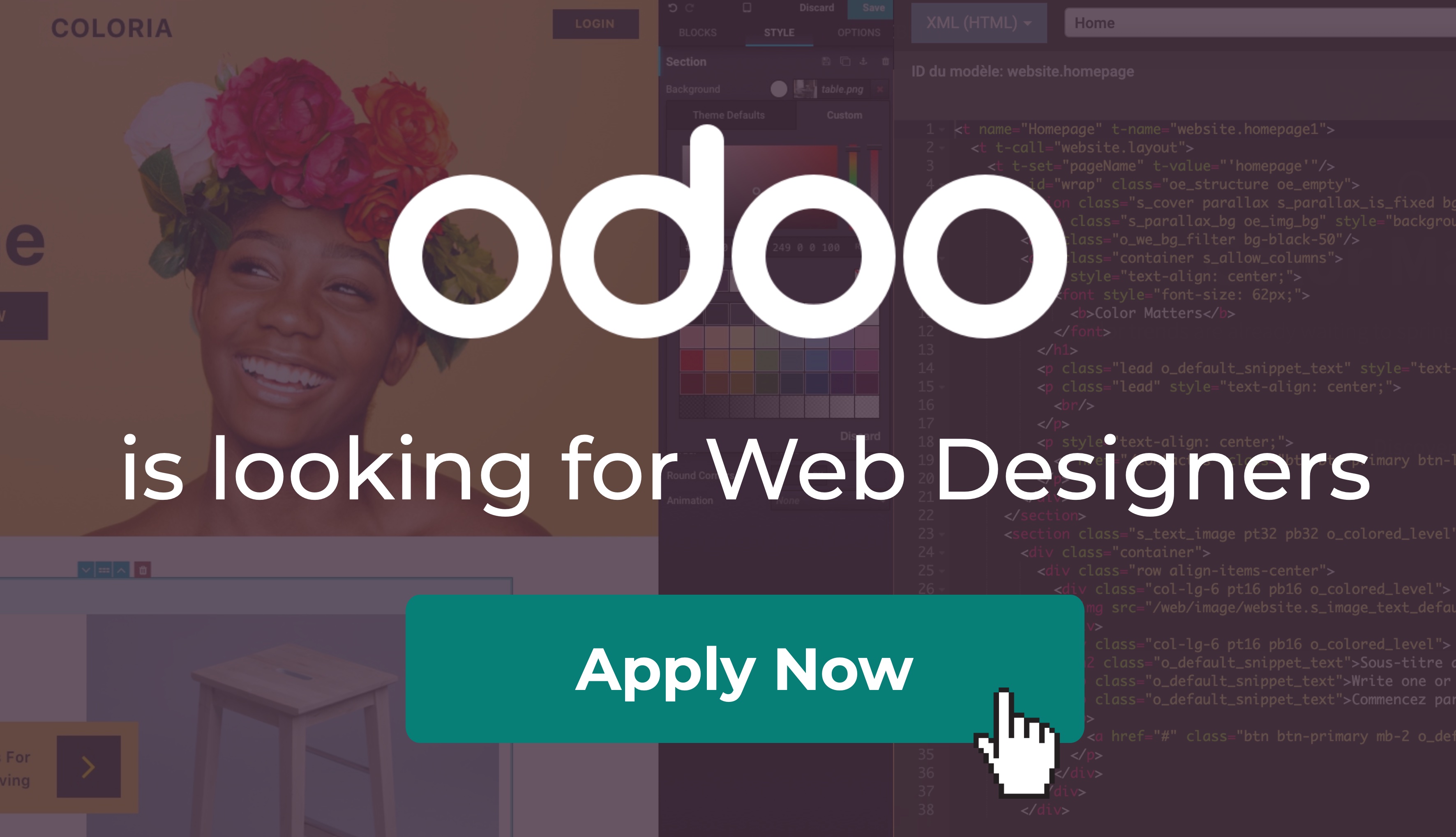 Web Designer | Odoo